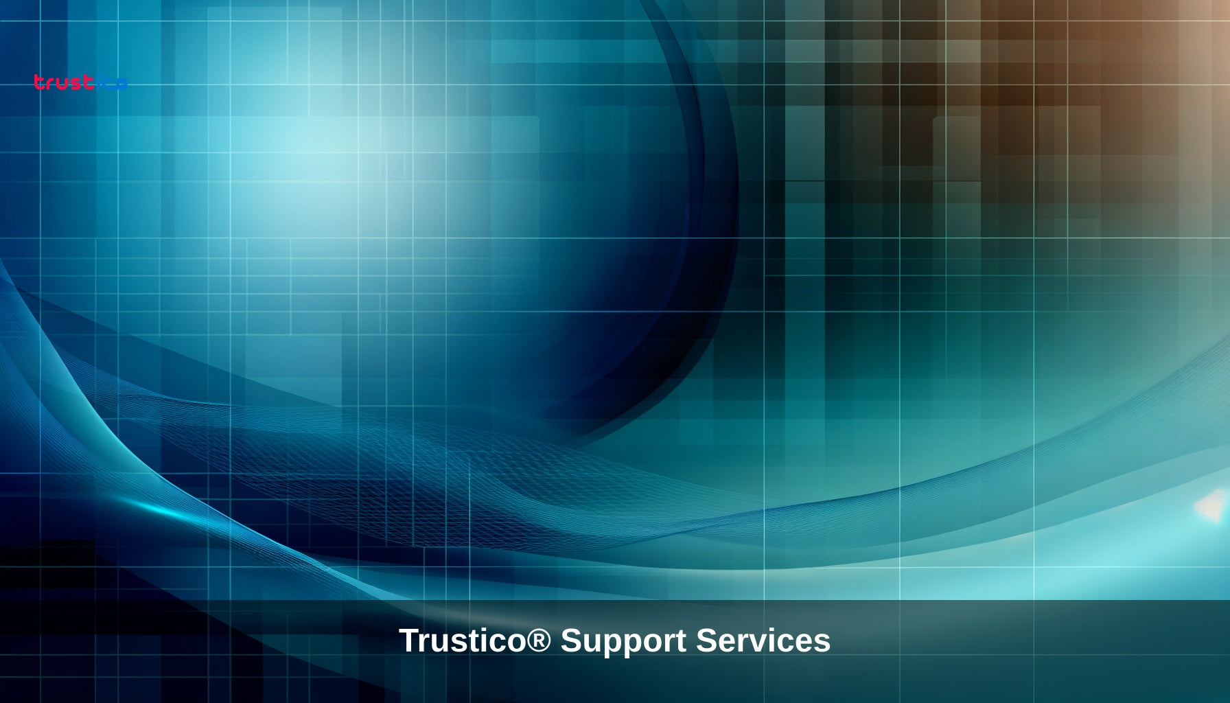Trustico® Support Services – Trustico® Online Security